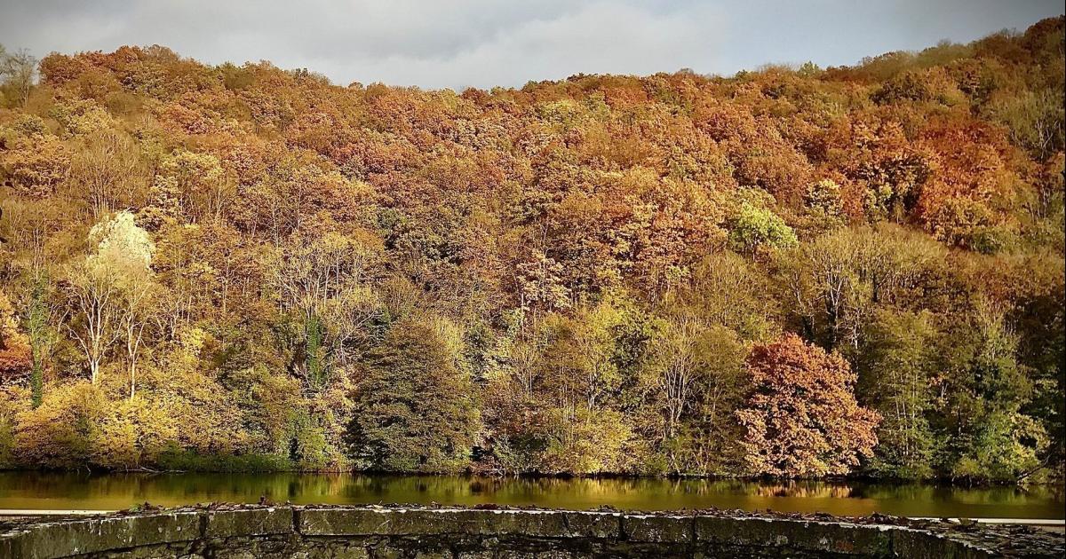 Nieuws – Freÿr – Kasteel en Tuinen aan de Maas